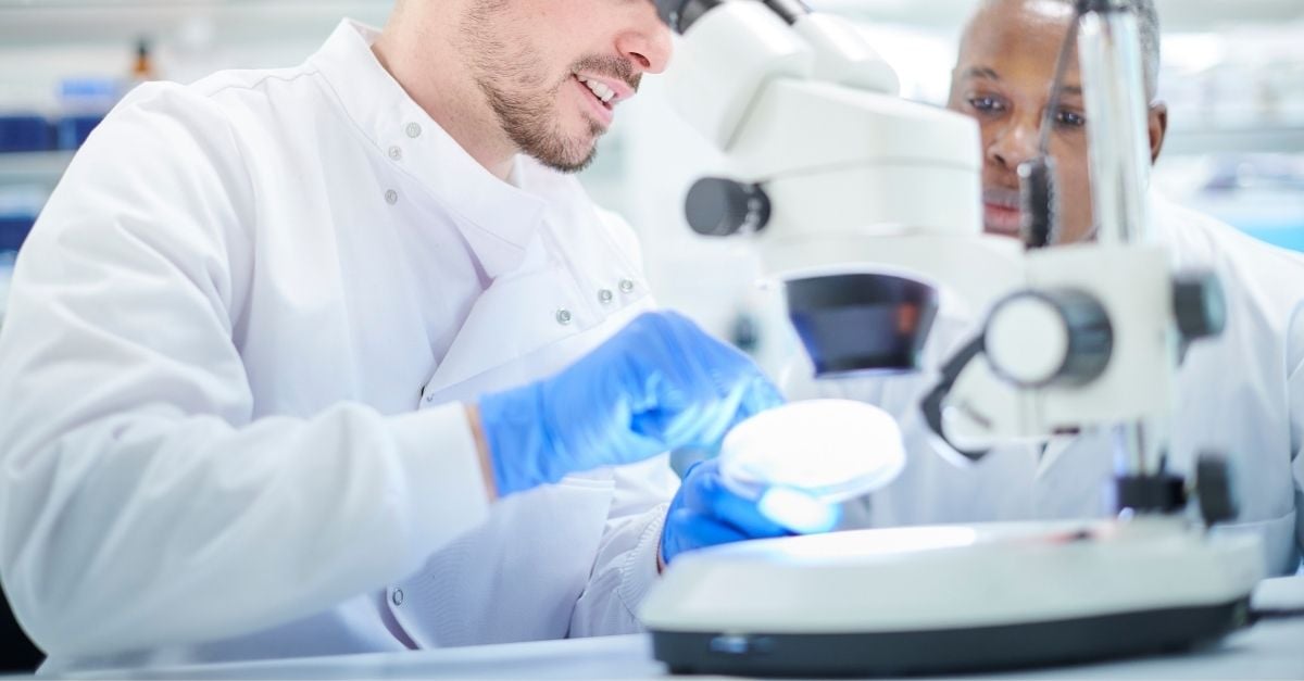 The Drug Discovery Process: What Is It and Its Major Steps