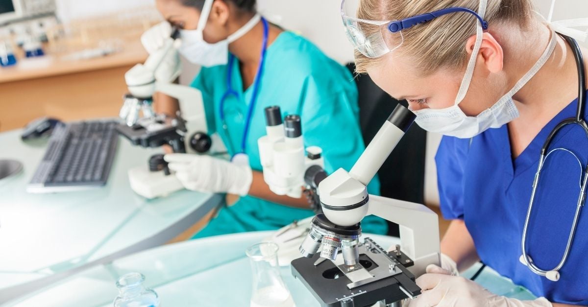 Alternative Toxicological Methods for Preclinical Research
