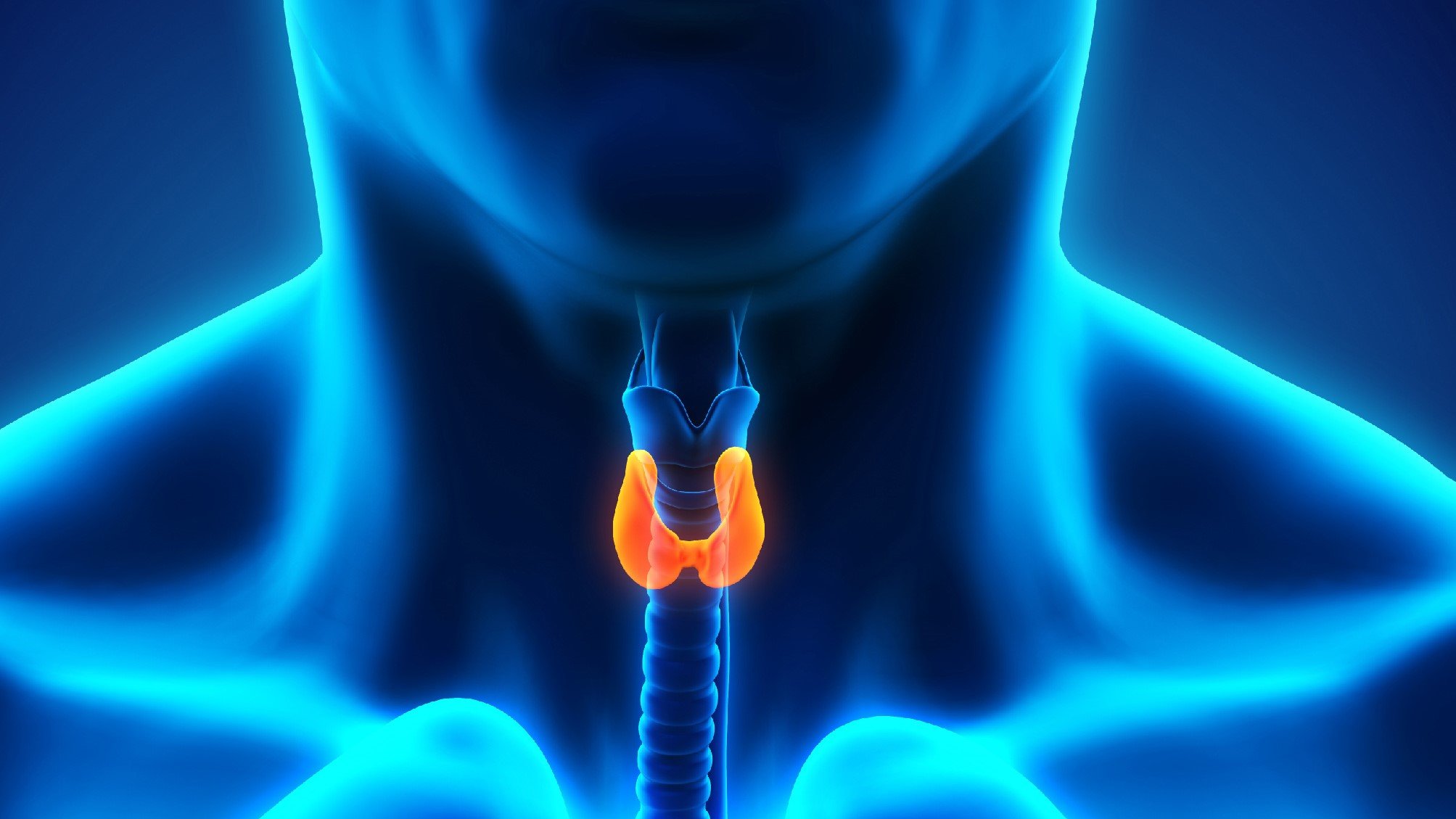 Endocrine Disrupting Studies in Zebrafish