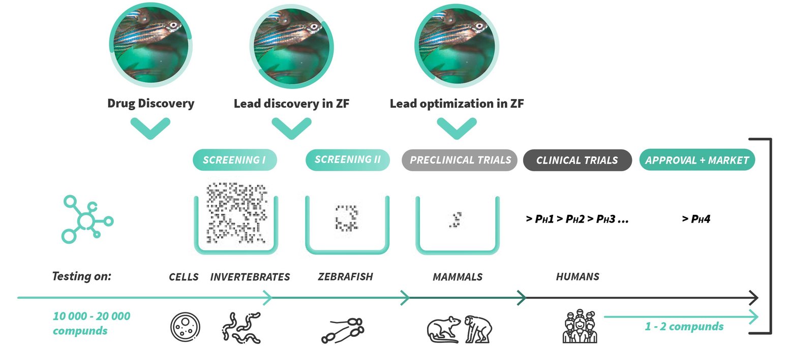 The Drug Discovery Process: What Is It and Its Major Steps
