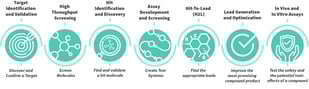 The Drug Discovery Process: What Is It and Its Major Steps