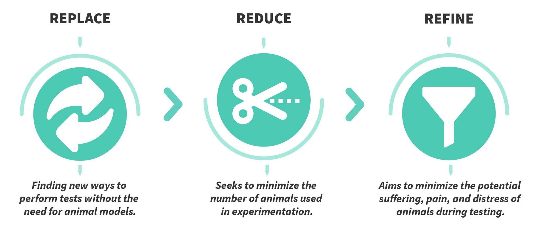 The 3Rs of Animal Research: Applications & Alternative Models