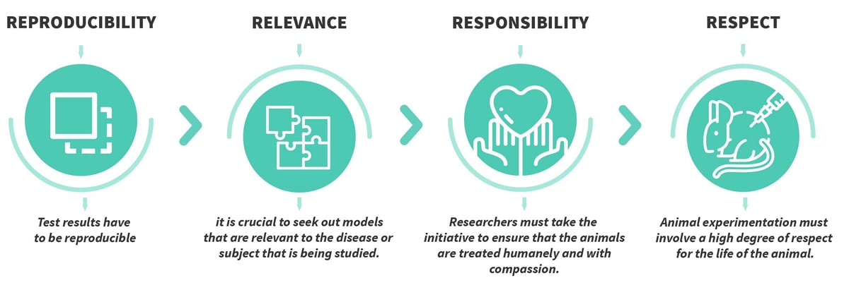 The 3Rs of Animal Research: Applications & Alternative Models