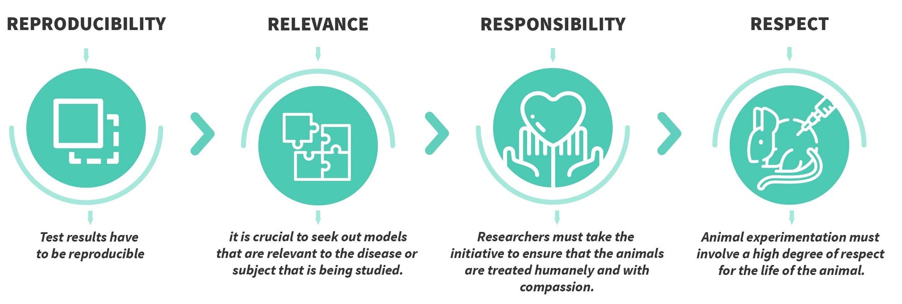 The 3Rs of Animal Research: Applications & Alternative Models