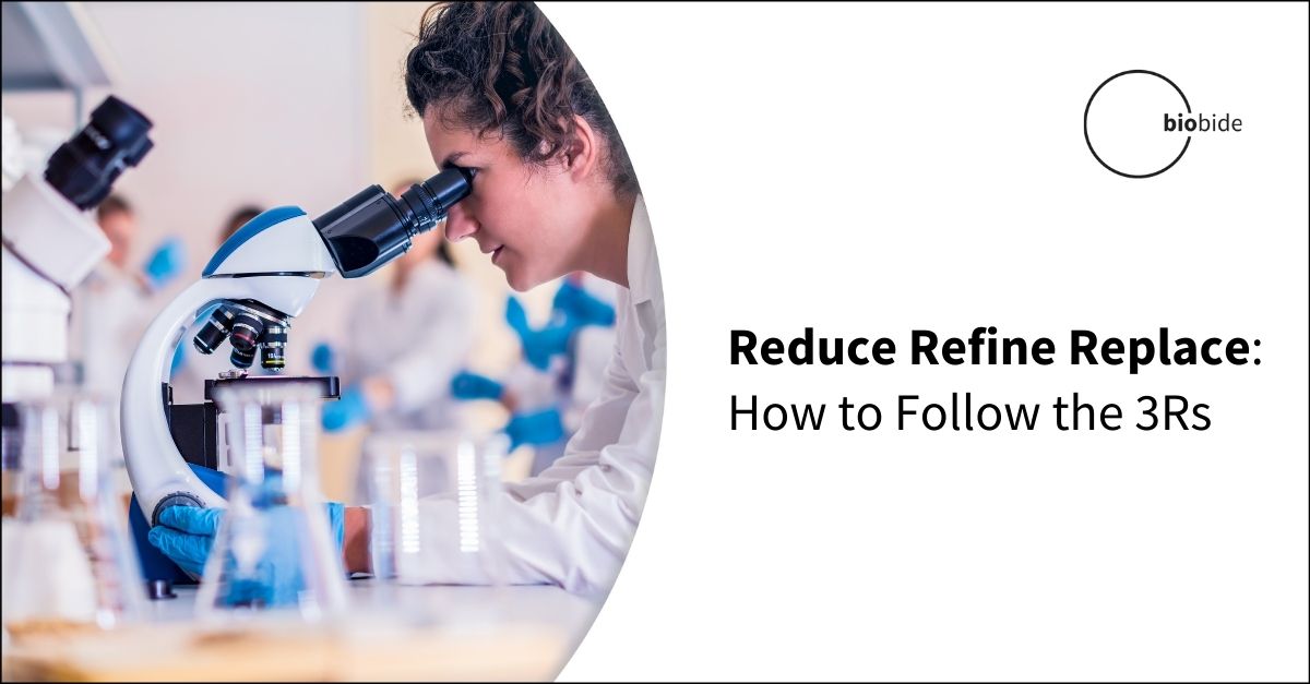 Reduce Refine Replace: How to Follow the 3Rs