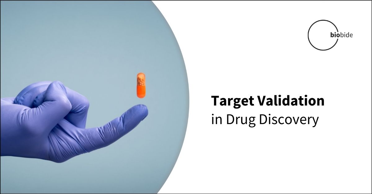 Target Validation in Drug Discovery